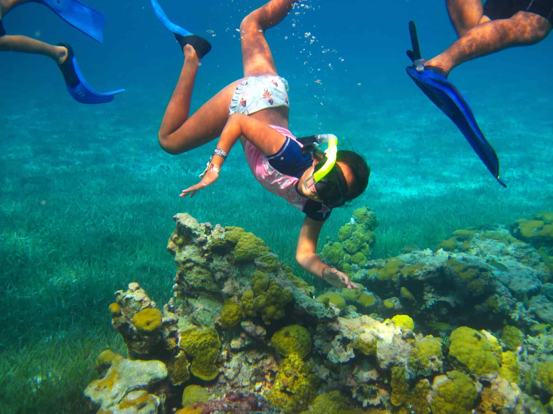 Cozumel Private Snorkeling Palancar Reef Jamaica Cruise Excursions Cozumel Private Snorkeling Palancar Reef Jamaica Cruise Excursions